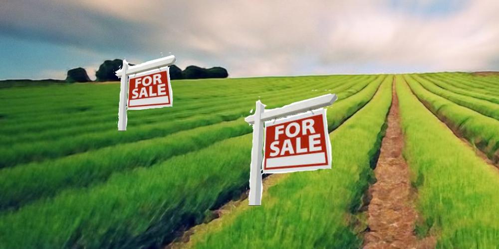 Investors are getting back to the land — U.S. farmland, that is | The ...